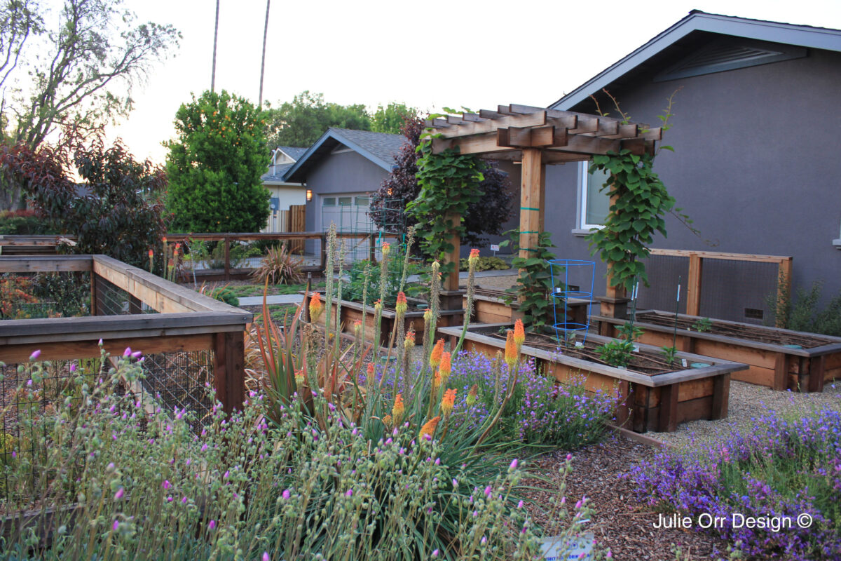 Julie Orr Design | Full Service Landscape Design